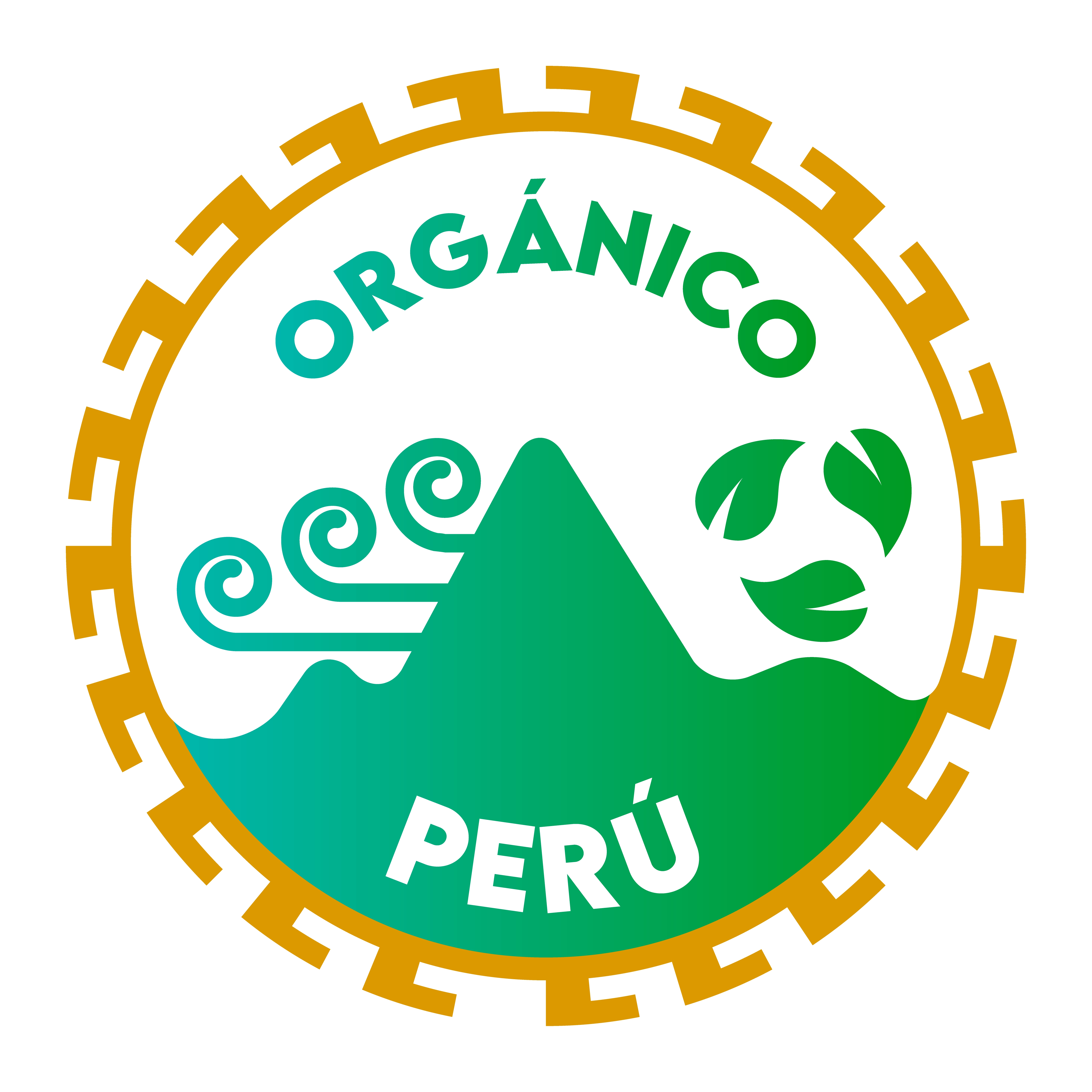 CAAE PERÚ